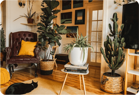Homes 4 U | Connecting Homes, Building Trust.